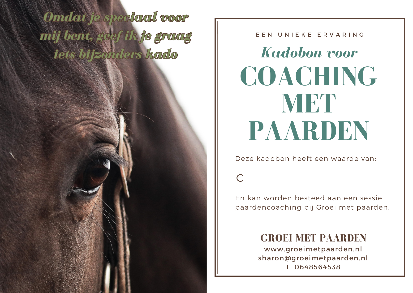 Coaching en begeleiding - Even voorstellen